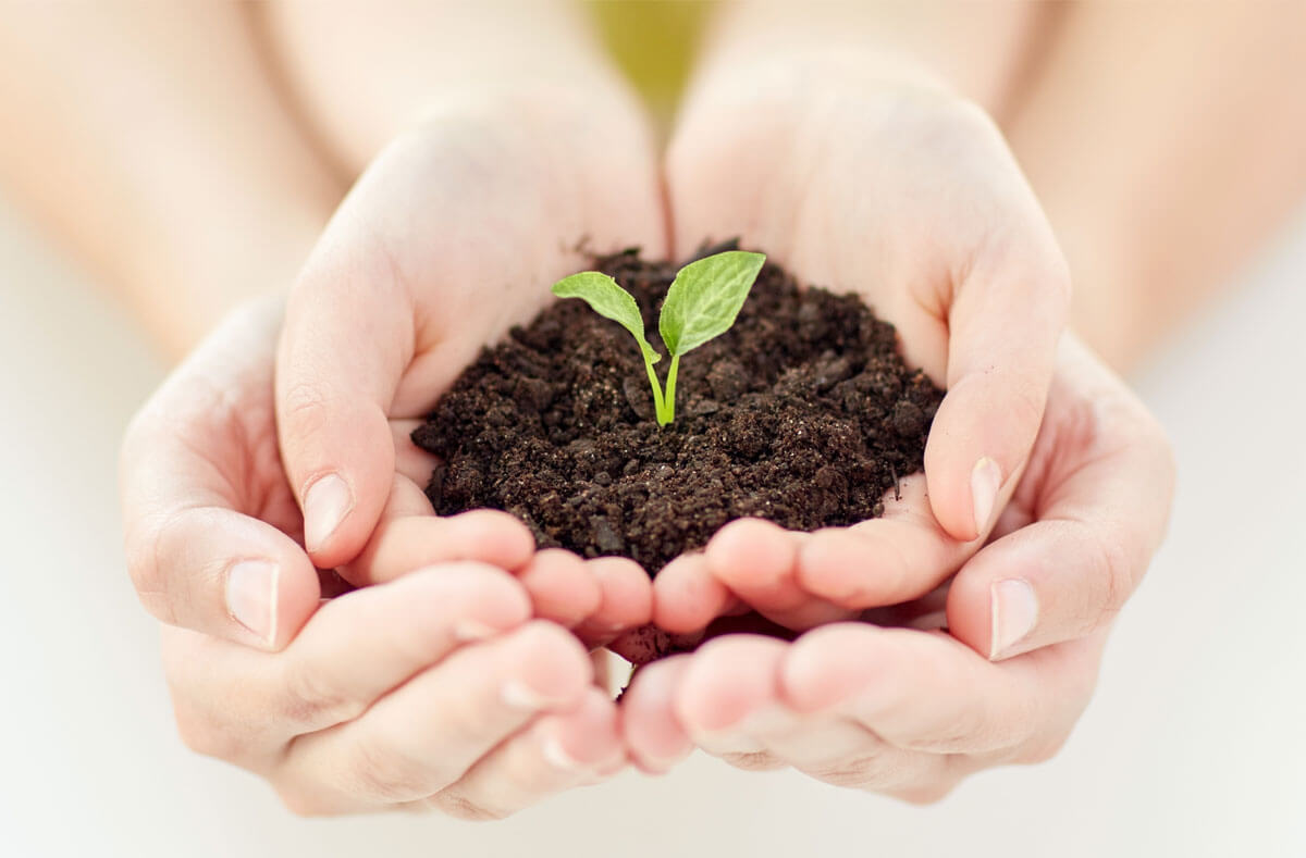 Giving Back: How Generosity in Your Community Can Benefit Your Business ...