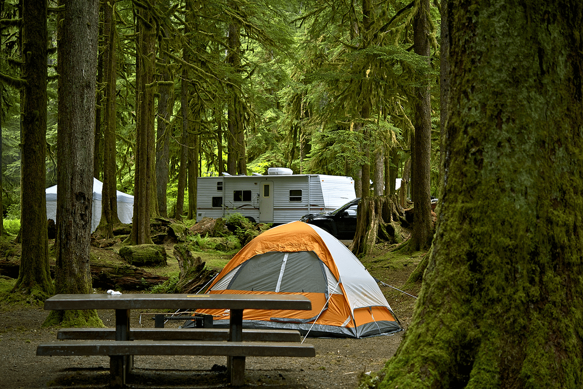 Your Step-by-Step Guide to Buying a Campground | Sunbelt Business Brokers